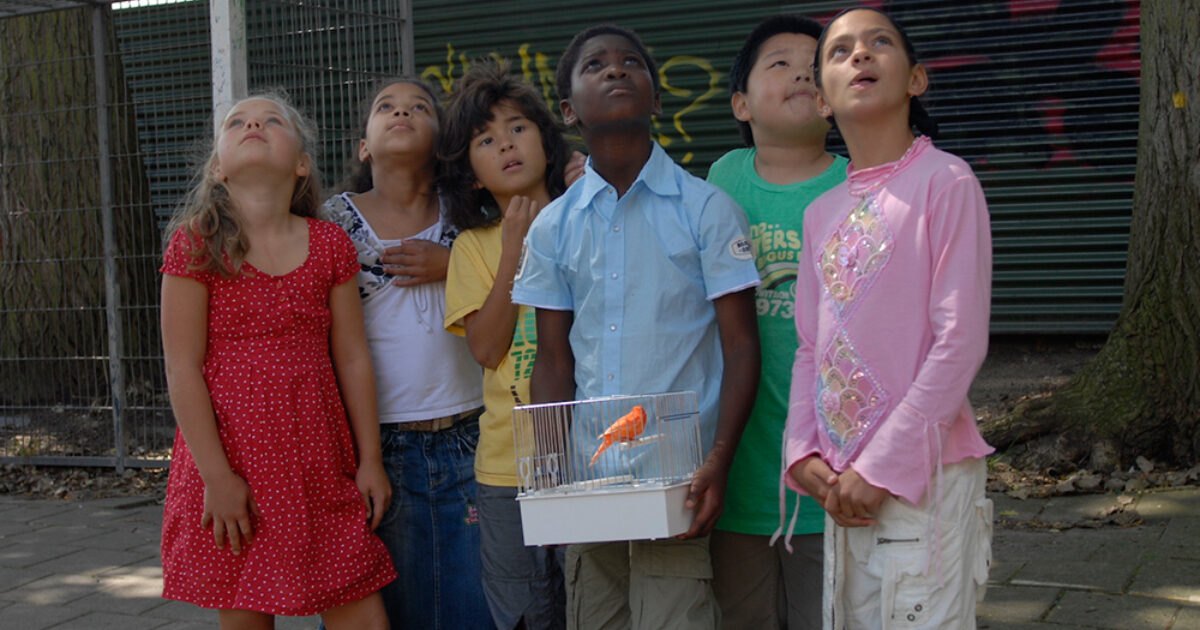 Vogel is Gevlogen | Rinkel Film